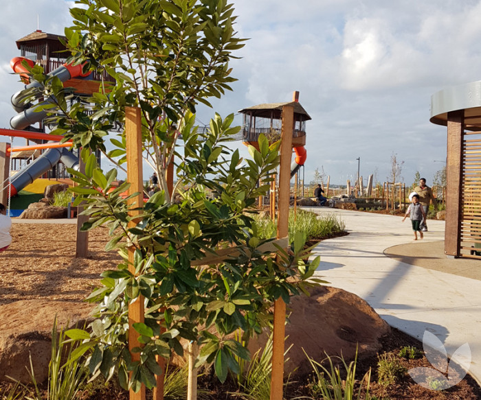 Woodlea - A new era of suburban living. - Blog - Speciality Trees