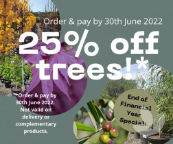 Blog – Speciality Trees