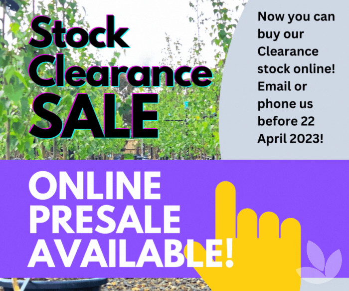 Stock Clearance Sale - PRESALE IS AVAILABLE ONLINE! – Blog - Speciality ...
