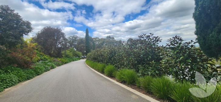 Fast-track tree selection with our on-site consultation service - Blog ...