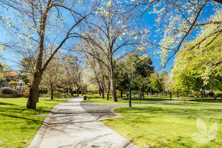 Suitable Trees for Melbourne | Speciality Trees - Blog - Speciality Trees