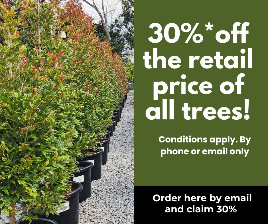 Planting Tips for Hedges - Tree Selections - Tree Selections ...