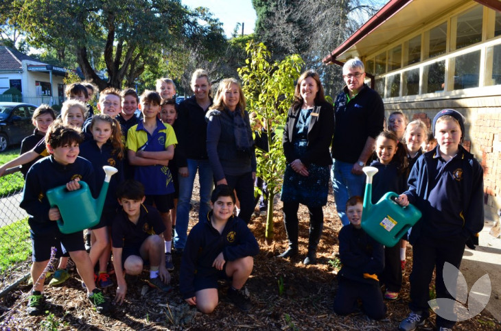 More Trees Please! Schools Tree Day 2014 - Blog - Speciality Trees