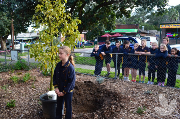 More Trees Please! Schools Tree Day 2014 - Blog - Speciality Trees