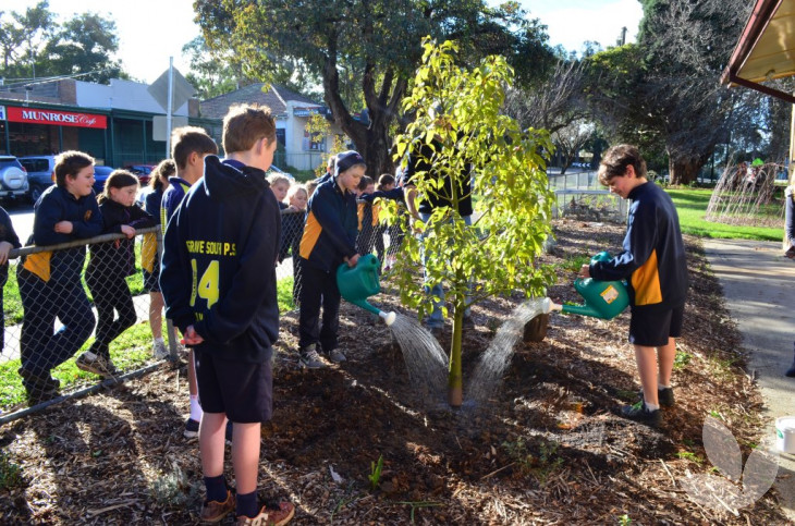 More Trees Please! Schools Tree Day 2014 - Blog - Speciality Trees